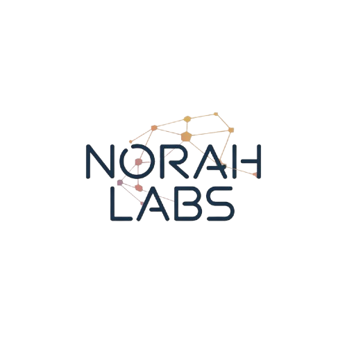 Norah Labs | Technology That Understands People